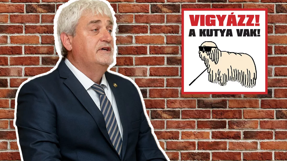 Filemon úr, csak a nőkkel bátor? - nyílt levél a "lombkoronásnak"