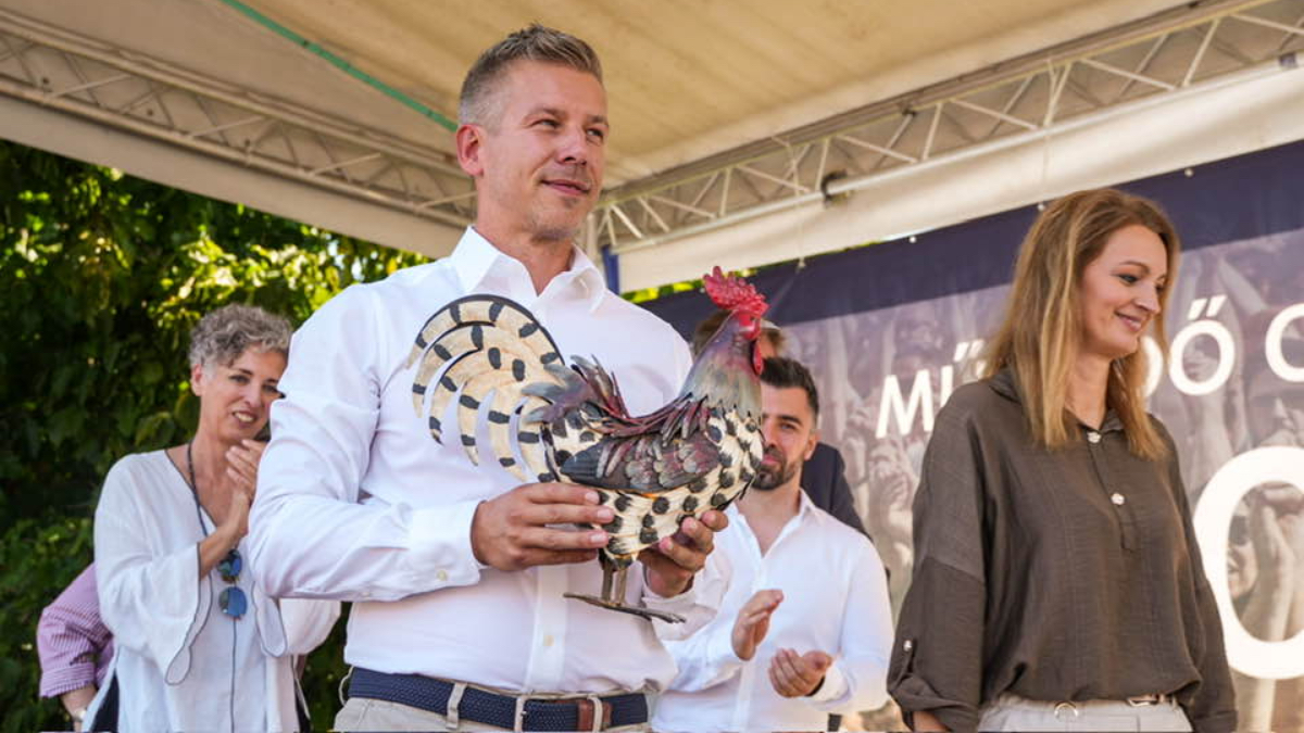 Úgy lett alelnök a Tiszában Forsthoffer, hogy nem is volt kongresszus ...